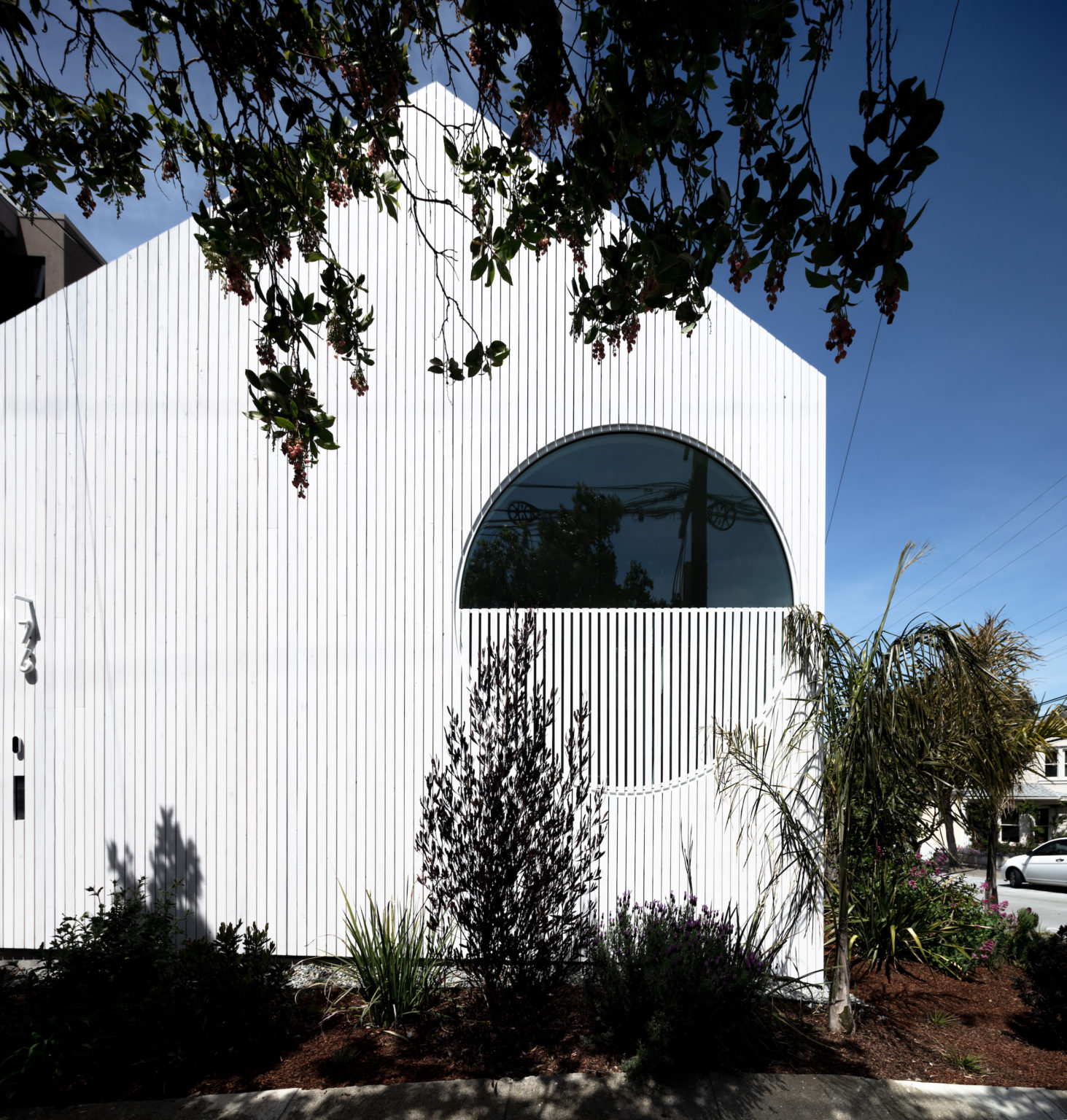 Flower House - Craig Steely Architecture