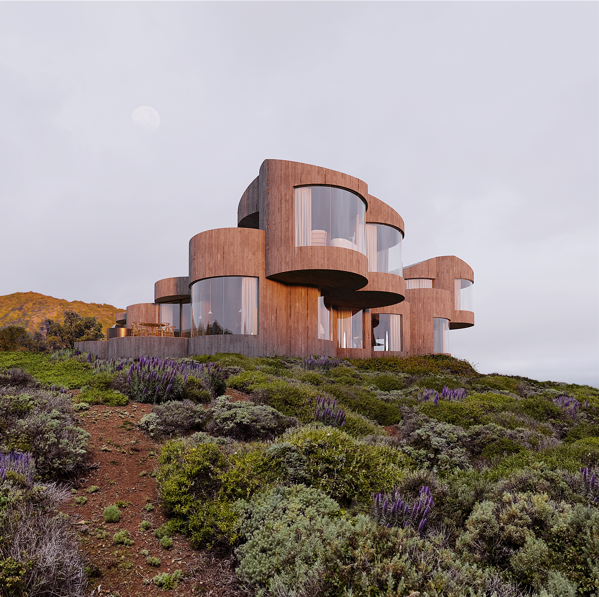 Cumulus House - Craig Steely Architecture