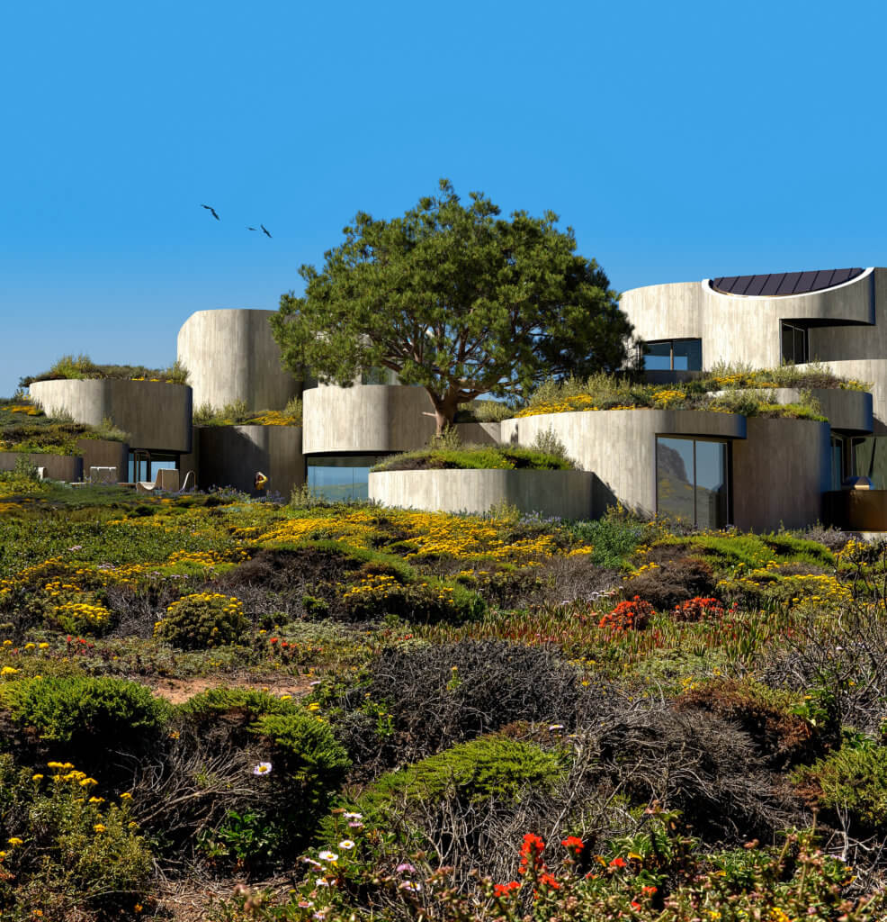 Cumulus House - Craig Steely Architecture